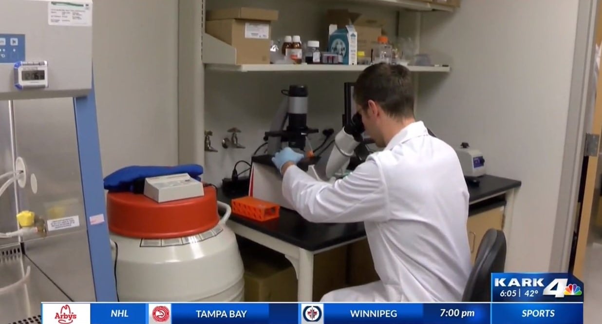 Brian Koss interview about graduate school on KATV | UAMS Department of ...
