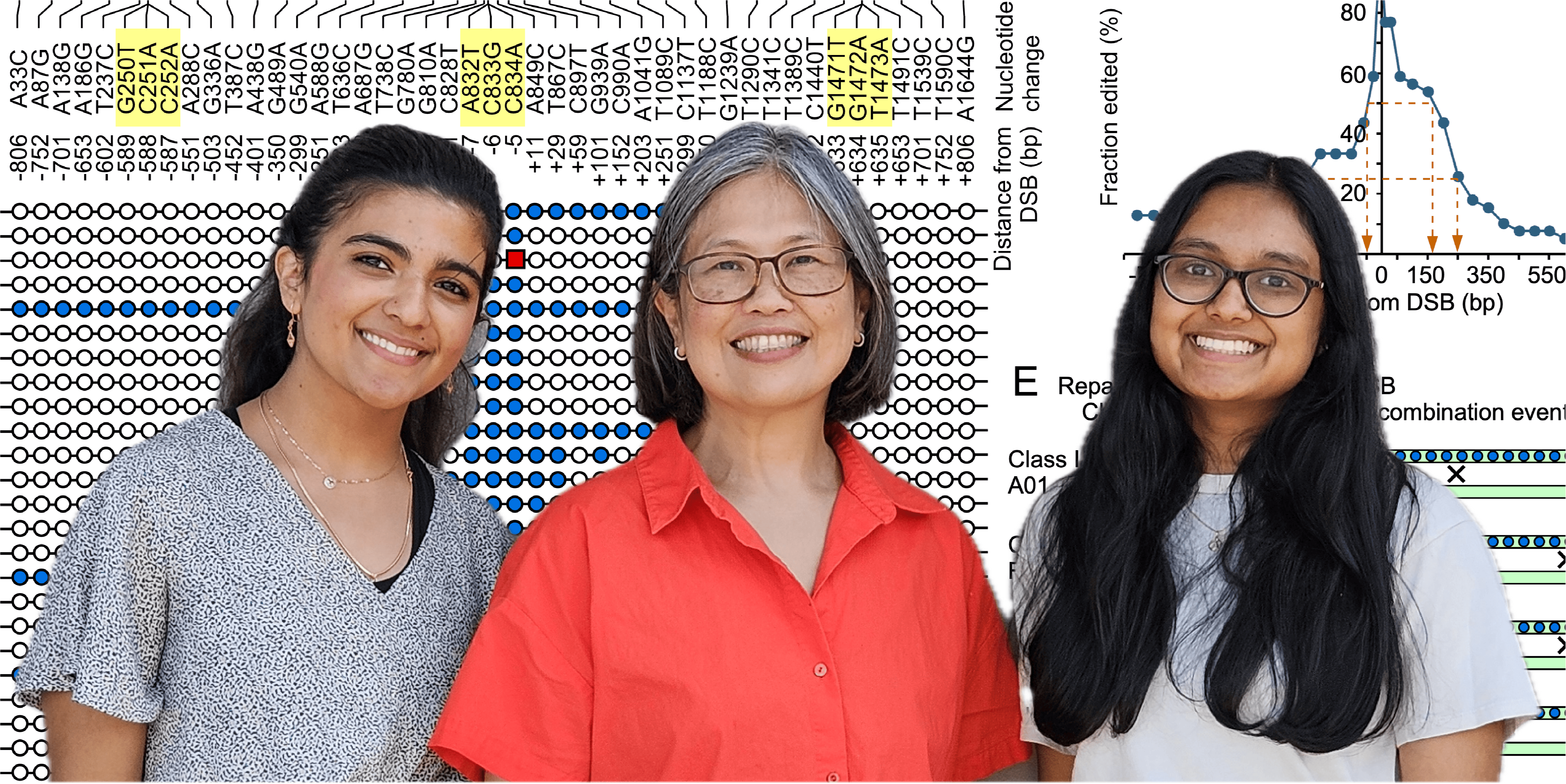 High School Students’ Research Gets Published in Scientific Journal ...