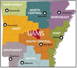 Chief of Rheumatology and Immunology | UAMS Department of Internal Medicine