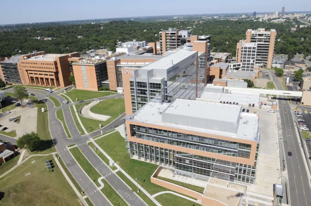 Chief of Rheumatology and Immunology | UAMS Department of Internal Medicine