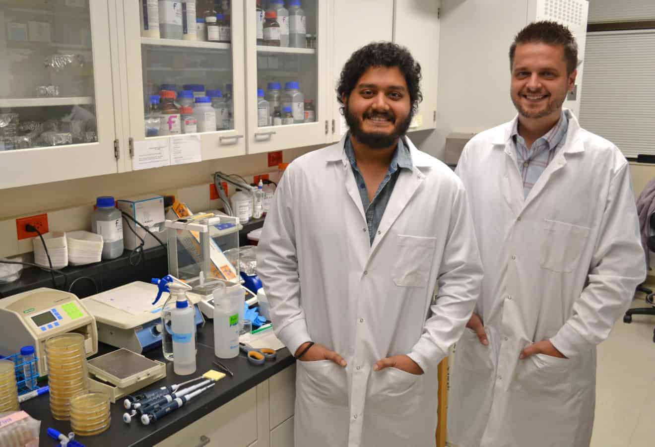 Lab’s Work on Plague Published in Infection and Immunity | UAMS College ...